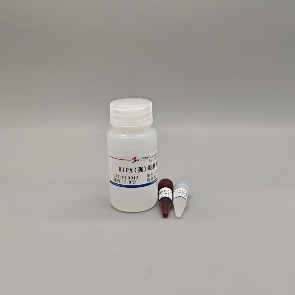 RIPA（强）裂解液(带有抑制剂)_陕西中晖赫彩生物医药科技有限公司